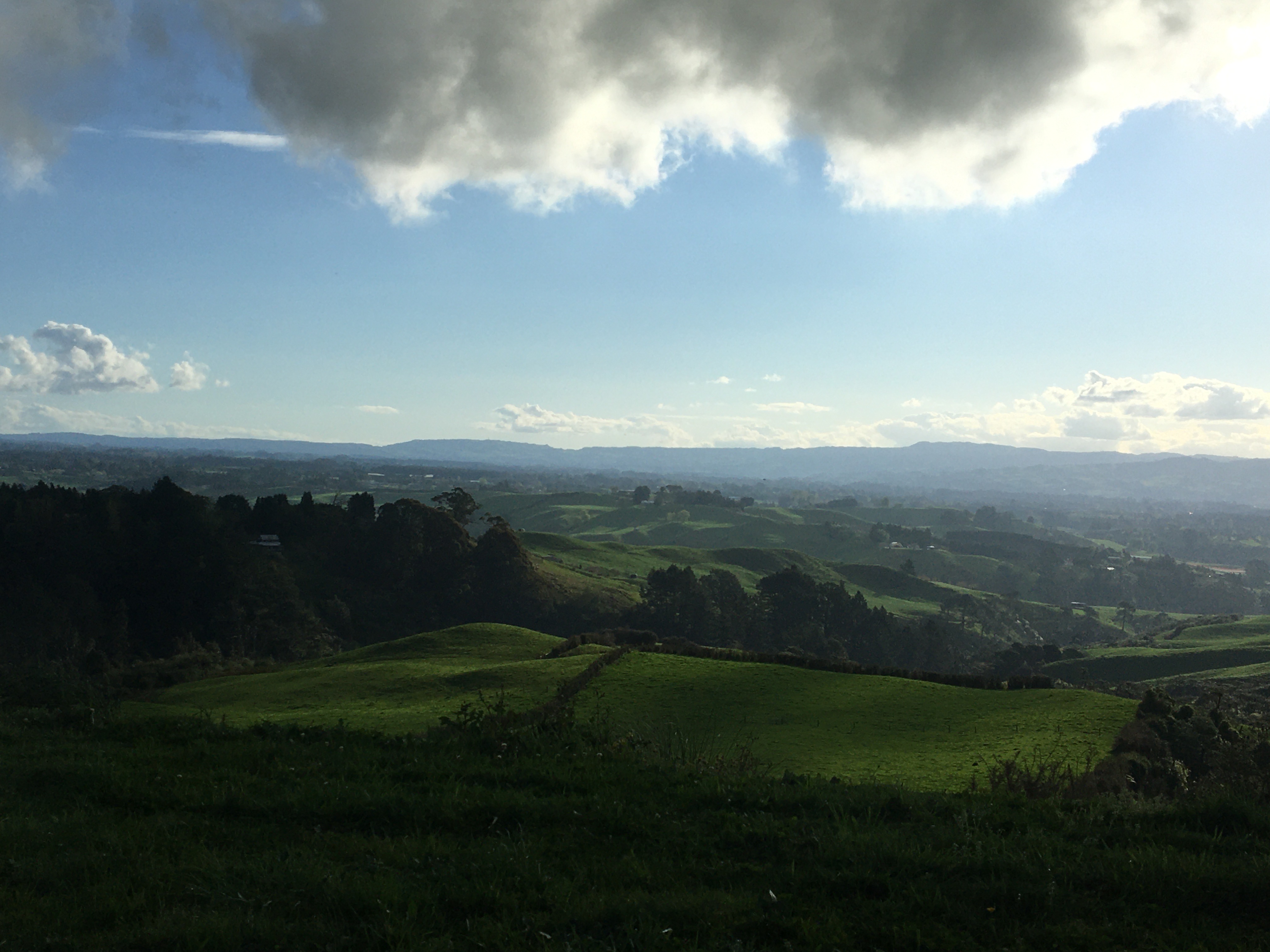 Angular Controlcontainer For Forms Several Ways Reactive Nested Across Routes Jennifer Wadella